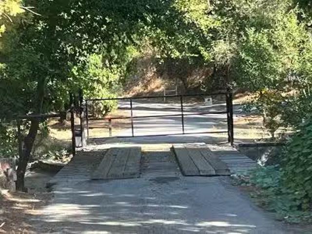 Yellow Pine Ln