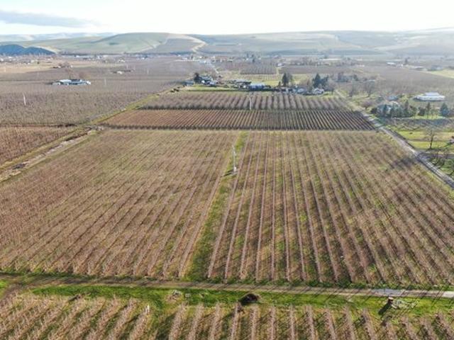 Yellowjacket Rd, Milton Freewater, OR 97862