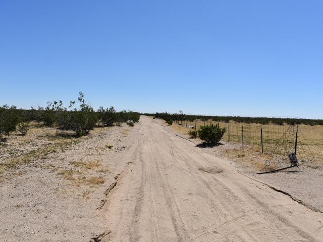 Yerba Blvd, Mojave, CA 93501 | MLS #25008