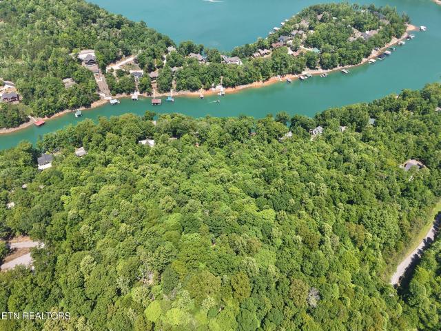 Yoakum Hollow Rd, Jacksboro, TN 37757