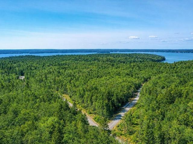 Yoho Head Rd Lots 55A & 72, Machiasport, ME 04655