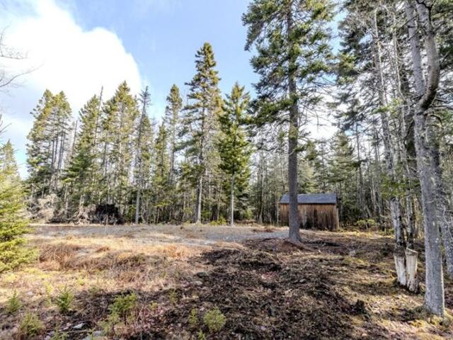 Yoho Head Rd, Machiasport, Plot For Sale