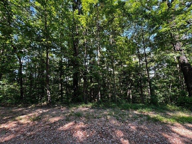 York Dr Lot 55, Bella Vista, AR 72714
