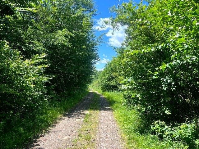 Yorkland Rd Lot 8, Annsville, NY 13471
