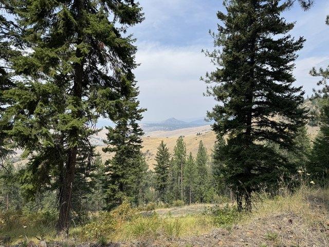 Yosyrian Ln Lot 4, Plains, MT 59859