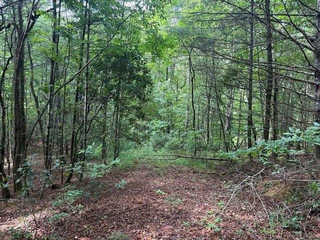Younce Creek Rd Lot 19B, Franklin, NC 28734