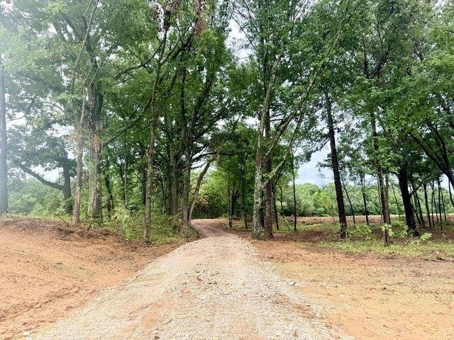 Young Cemetary Rd, Gadsden, TN 38337