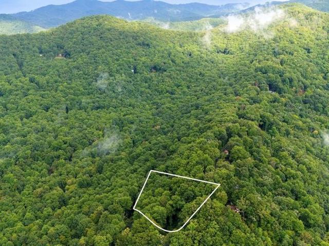 Young Cv Lot 226, Franklin, NC 28734