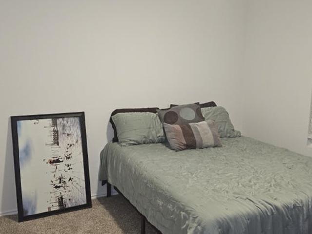 Young Professional Needs Roommate