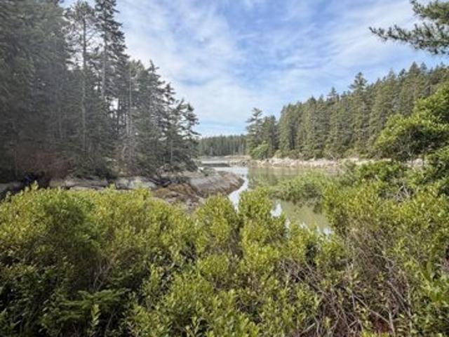 Young Rd, Vinalhaven, Plot For Sale