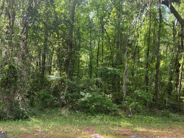 Youngman Rd, Townsend, GA 31331