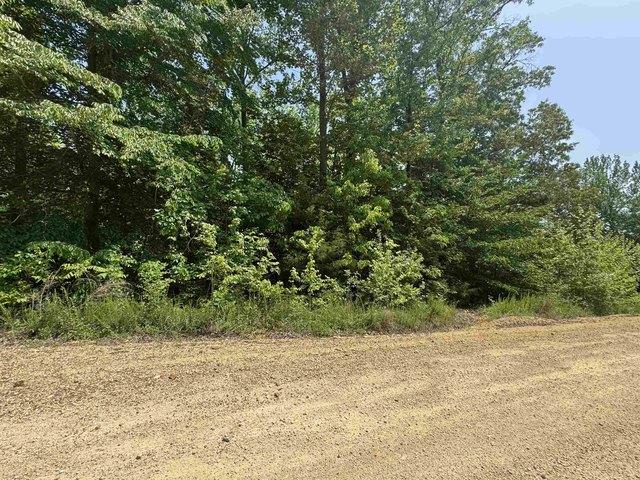 Younger Hollow Cemetery Rd Lot 67, Clifton, TN 38425