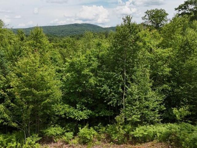 Youngs Rd, Canton, Plot For Sale