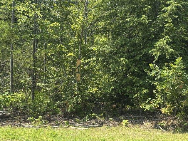 Youngs Way Lot 1, Standish, ME 04084