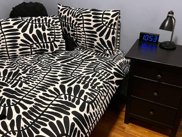 Your own Bedroom in Gay Friendly Apartment Share
