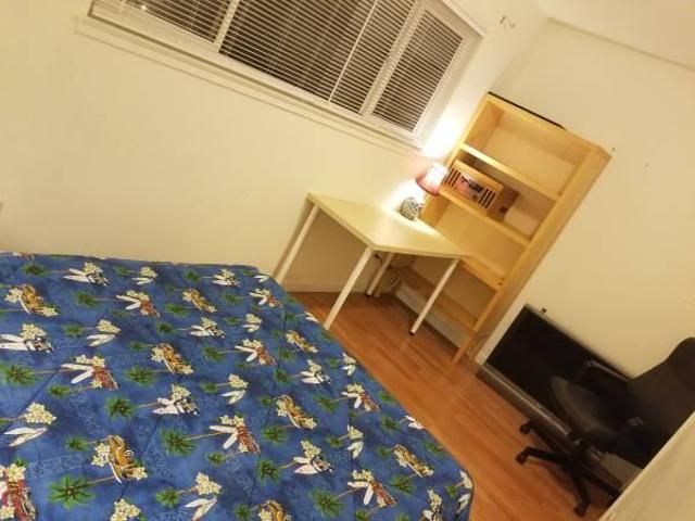 Your Sunny Clean Private small SINGLE BEDROOM Sho