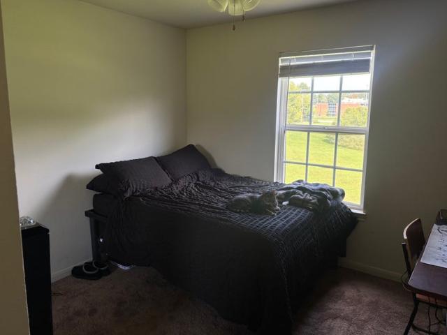 Your very own Spacious Bedroom and Bathroom