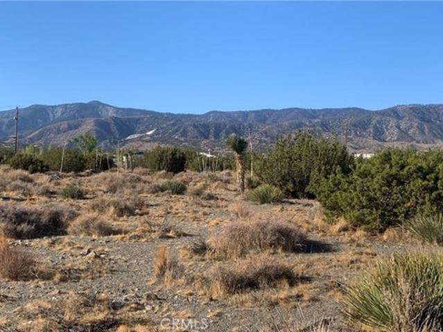 Yucca Ter, Pinon Hills, CA 92372