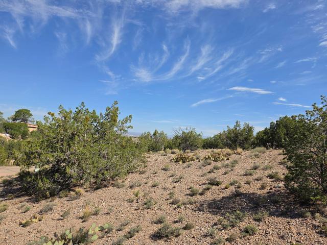 Yucca Lot 105 Lane