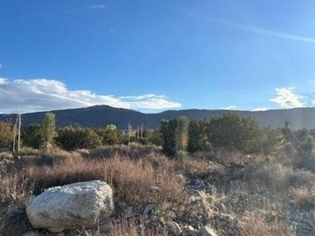 Yucca, Pinon Hills, CA 92372