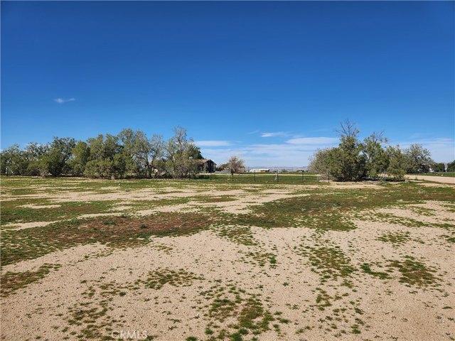 Yucca Rd, Newberry Springs, CA 92365