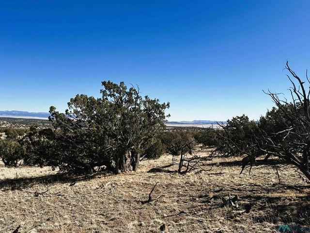 Yy Tanglewood Cir, Datil, NM 87821