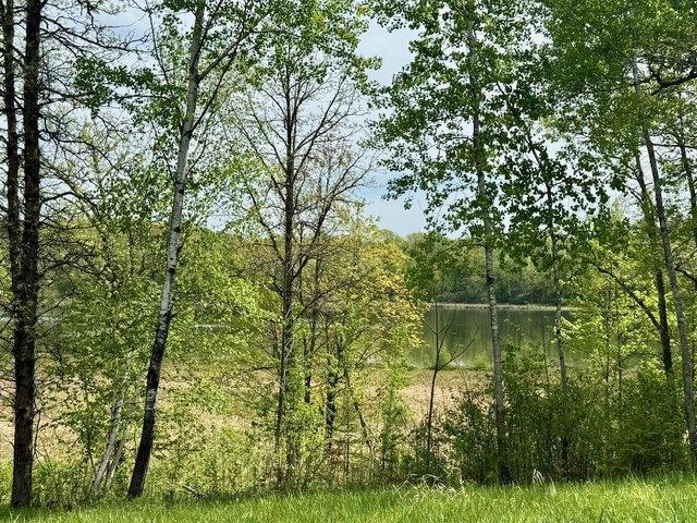 Yz Dailey Lake Rd, Willow River, MN 55795