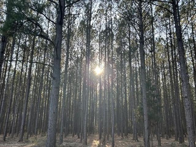 Z Grimes Rd, Laurel Hill, FL 32567