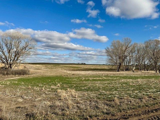 Z Rd, Nekoma, KS 67559