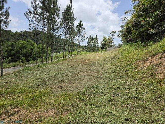 Zafiro, Cidra, Plot For Sale