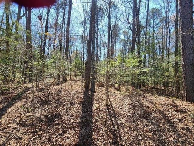 Zarpa Way, Hot Springs Village, AR 71909
