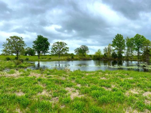 B Hwy, Sheldon, MO 64784