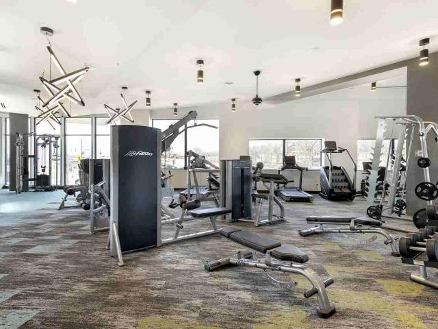 Zelia on Seven 1 Bedroom Apartment for Rent at 5855 Highway 7, St. Louis Park, MN 55416 Elmwood