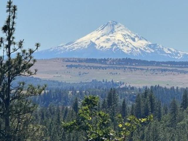Zelinski Rd, Goldendale, WA 98620