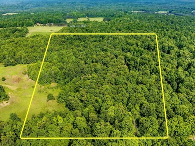 Zimmerman Rd, Beulah, MI 49617