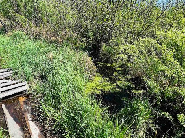 Zink, Rib Lake, WI 54470 | MLS #2005