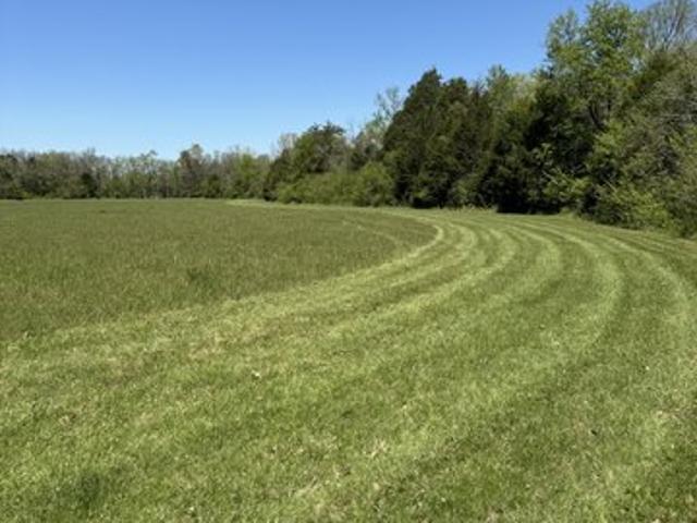 Zion Hill Rd, Unionville, TN 37180