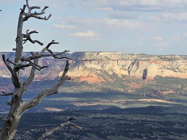 Zions Blf, Mount Carmel, UT 84755