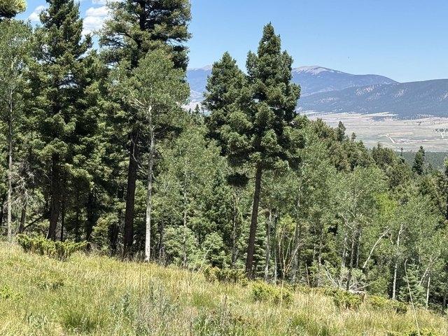 Zia Rd Lot 106, Angel Fire, NM 87710