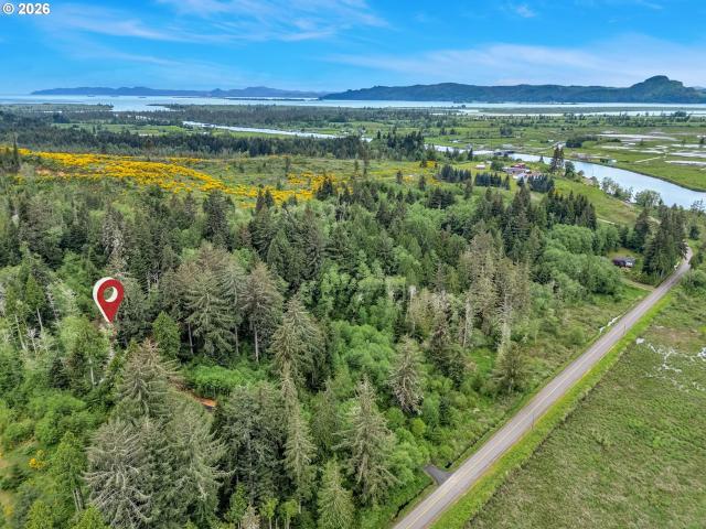 Ziak Gnat Creek LN