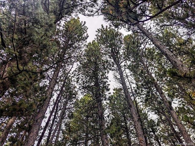 Zipf Ln Lot 3190, Fort Garland, CO 81133