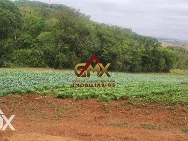 Zona Rural Londrina/PR