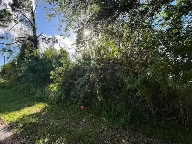 Zuyder Terrace, North Port, FL 34286 MLS N6132033