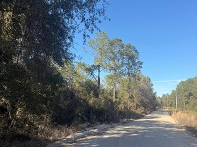 Zzz Nettles Dr, Florahome, FL 32140