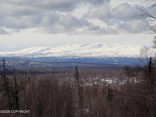 A014 E Chief Nicolai Ln, Talkeetna, AK 99676