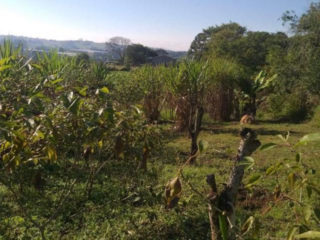 A10.@ CHÁCARA 1.500MTS SANTA ISABEL