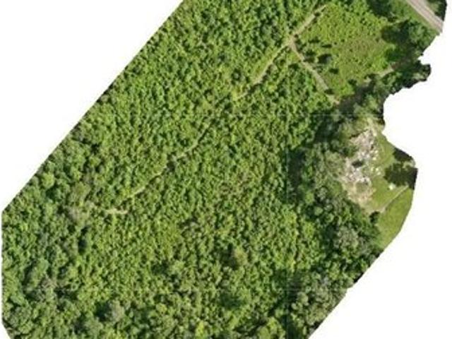 A247 FM 1415 S, Burkeville, TX 75932