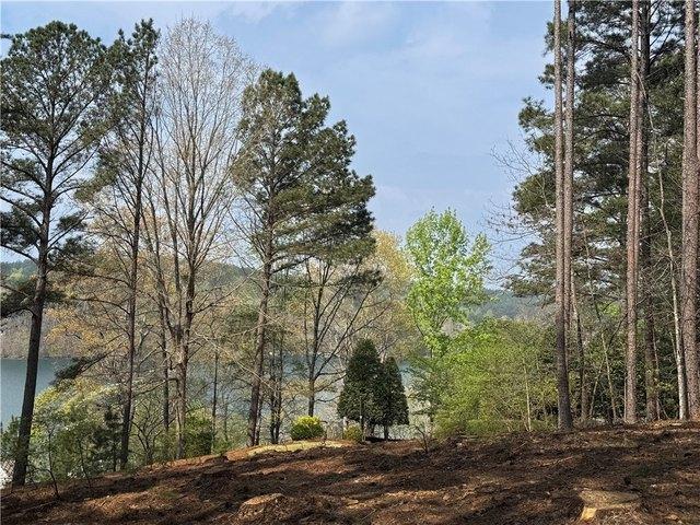 A75 Deep Cove Ct, Sunset, SC 29685