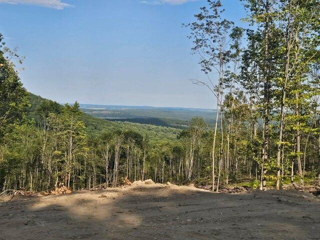 A Mcalister Rd, Buckfield, Plot For Sale