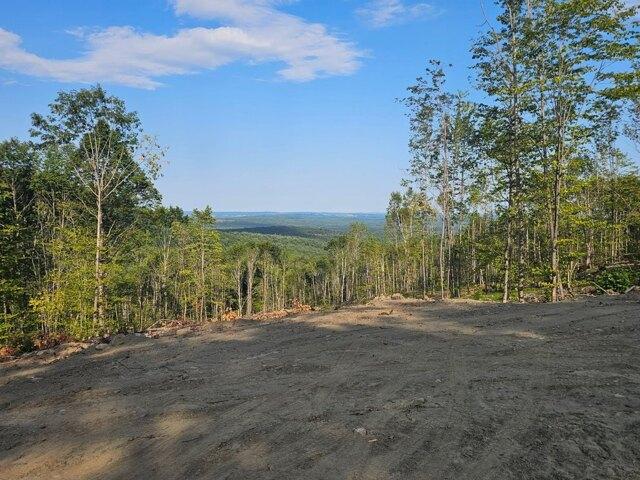 A Mcalister Rd, Buckfield, Plot For Sale